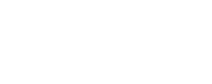FUSIONBIONIC - DLIP Technologie